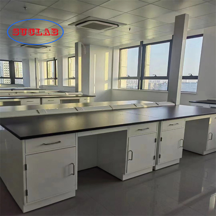 Tableau de laboratoire personnalisé pour le cabinet de base en acier L ...